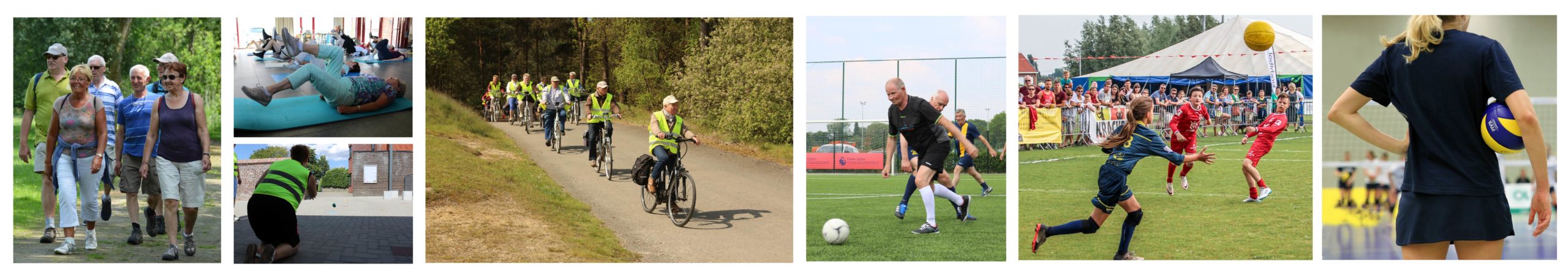 Twizzit - Eenlevenlangsporten