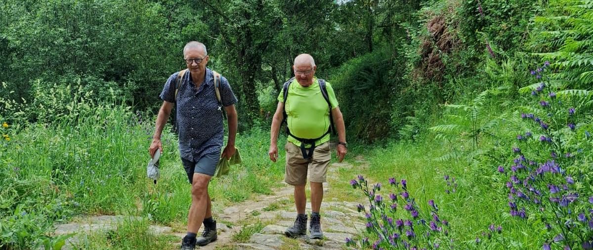 Wandelen met een verhaal in je oren - Eenlevenlangsporten